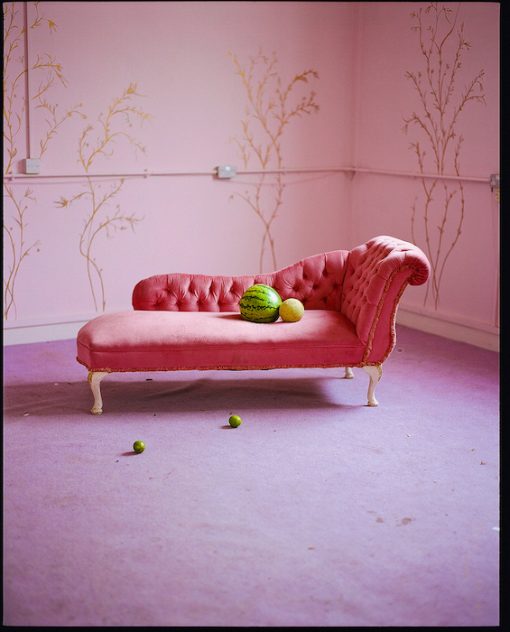 Meet Freelance Photographer & Artist: Steph Wilson