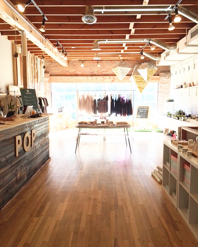 10 Lessons from 2016: A Pop Shop America Year End Review