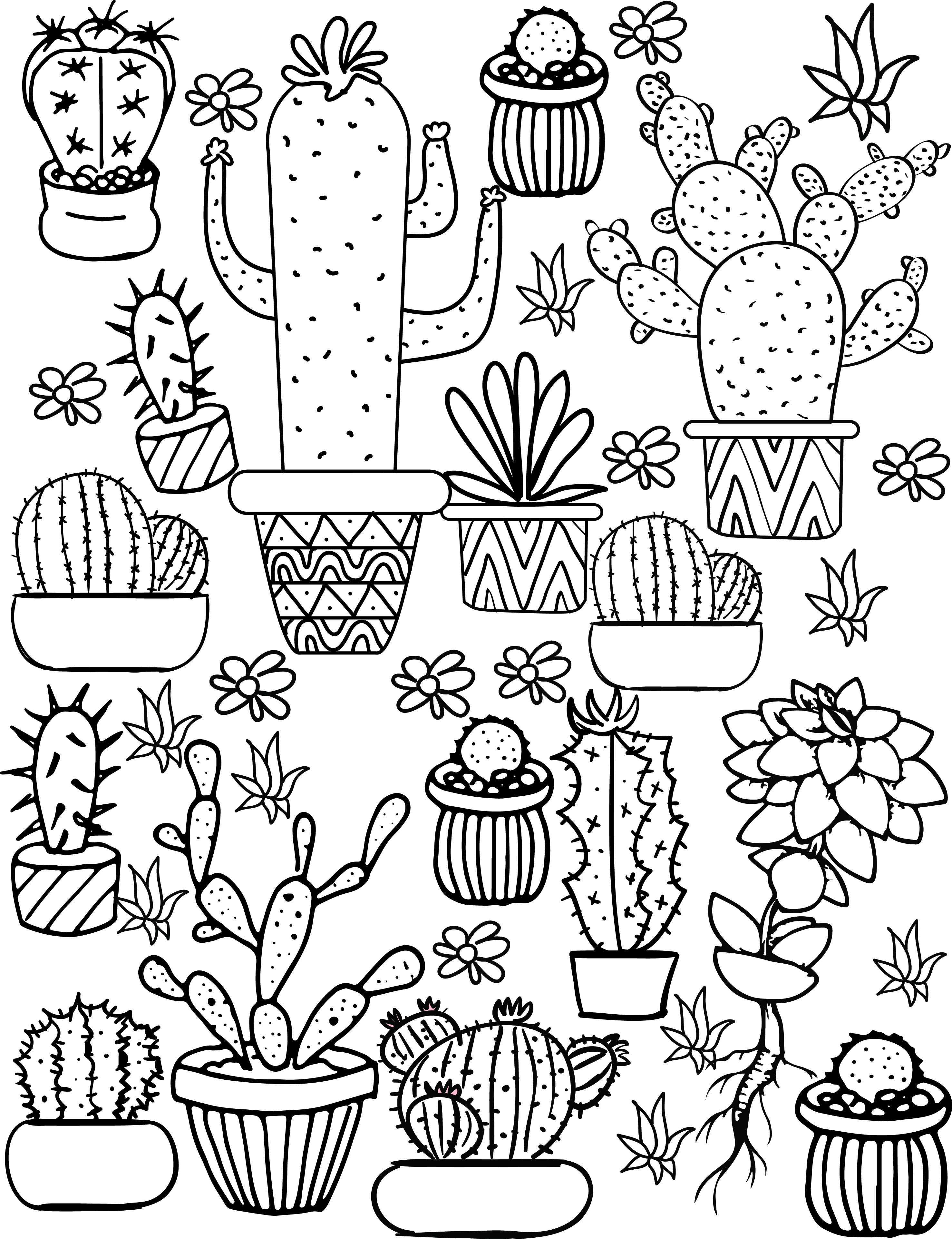 Cactus And Succulent Printable Adult Coloring Pages Cactus And Succulent Printable Adult Coloring Pages